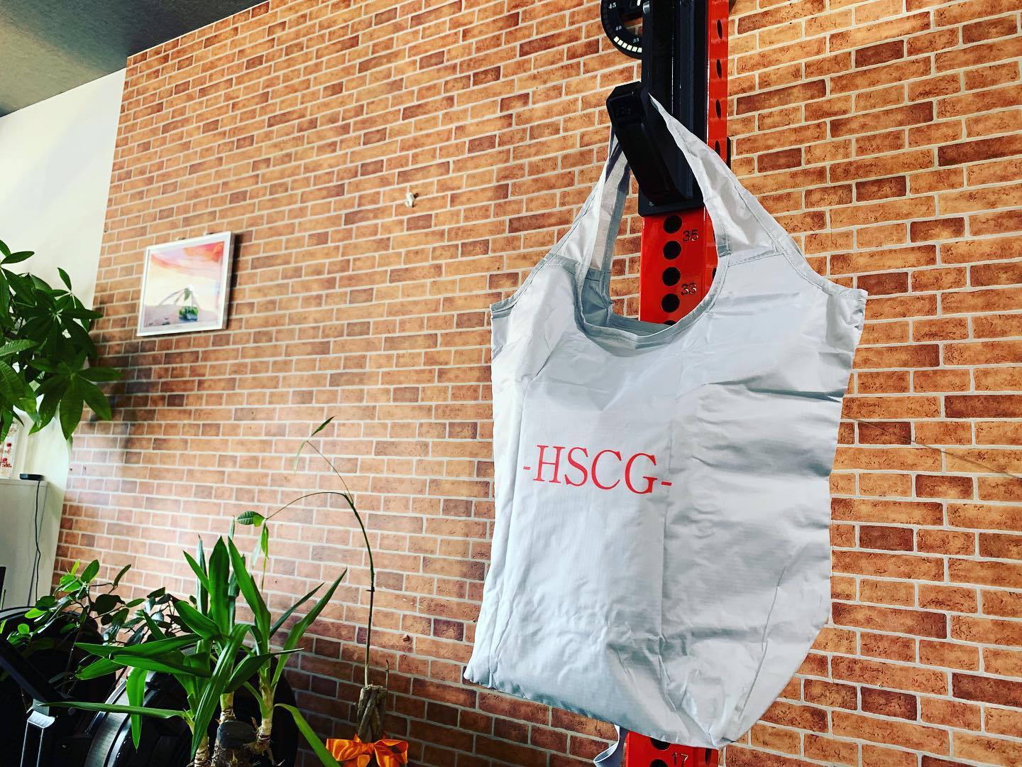 尾道市向島のセミパーソナルトレーニングジム「HSCG」の口コミ・評判を紹介 – ケンコーTV